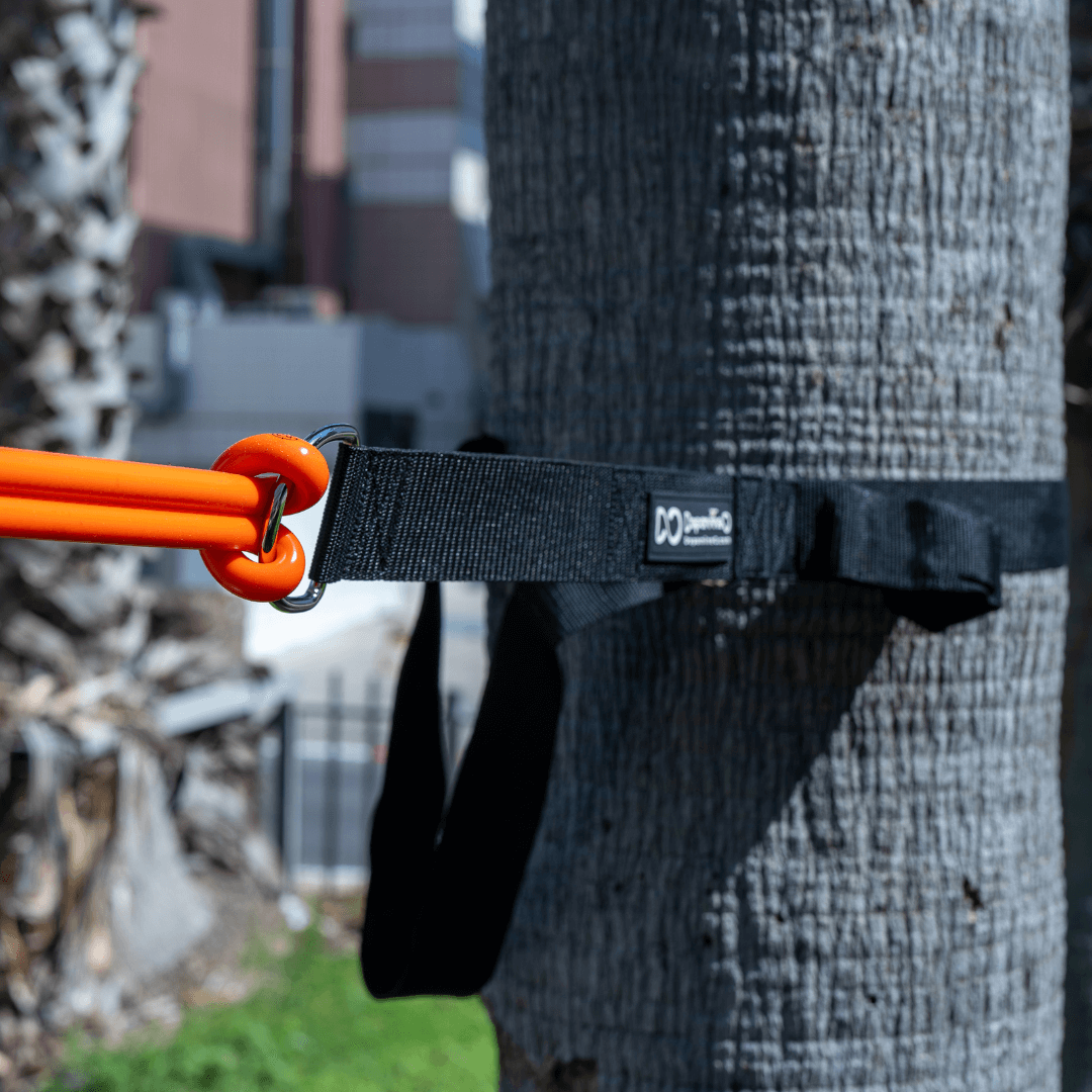 Anchor Strap - Attach resistance and indoor & outdoor — Dopamineo